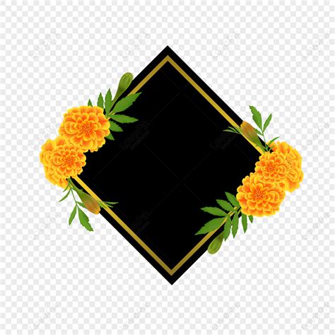 마름모 검은 황금색 금잔화 테두리 일러스트꽃들국화 Png 일러스트 무료 다운로드 Lovepik