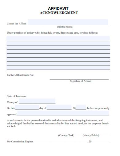 20 Affidavit Examples To Download
