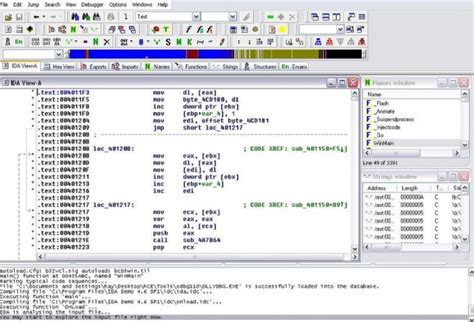 Do Malware Analysis Reverse Engineering With Detailed Report By Alif