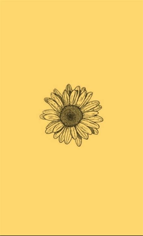 Aesthetic Flower Drawing Wallpapers Wallpaper Cave