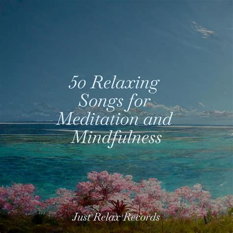 50 Relaxing Songs For Meditation And Mindfulness Album By Musica