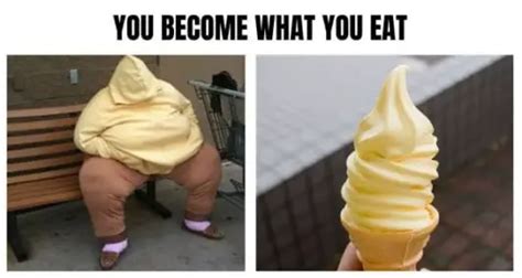 25 Funny Ice Cream Memes Well Scream For Today