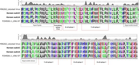 Amino Acid Diversity Entropy Plot And Alignment Of Sequence Logos Download Scientific Diagram