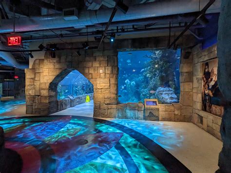 Audubon Aquarium Walk On Tanks Top Things To Do In New Orleans With
