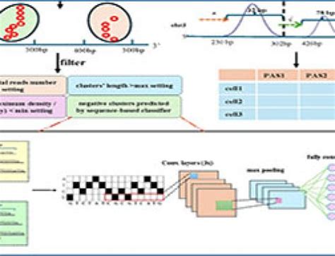 Idep An Integrated Web Application For Differential Expression And Pathway Analysis Of Rna Seq