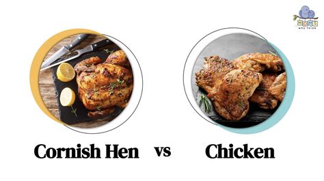 Cornish Hen Vs Chicken 3 Differences And Why Cornish Hen Is Juicier