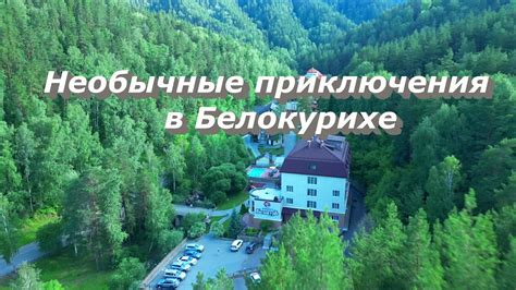 Необычные приключения в Белокурихе - YouTube