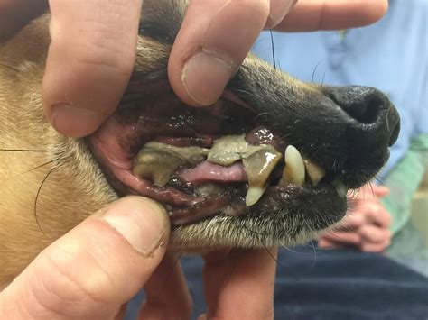 Danielle Murr Danielle Murr Added A New Photo