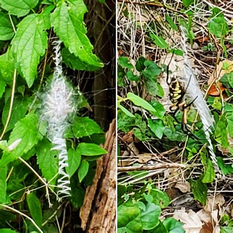 Making Amends A Record Of Graces