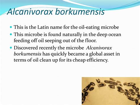Ppt Deep Sea Microbes Powerpoint Presentation Free Download Id823104