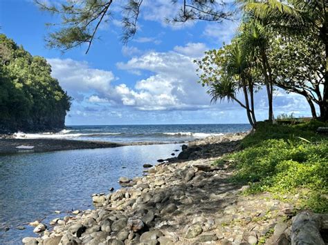 Remote Work Paradise Your Hamakua Coast Retreat Hawaii Real Estate