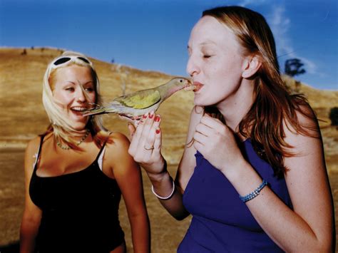 Donna Bailey Home Page Donna Bailey Photographer