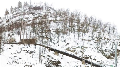 Senandika Padi Solilokui Petani