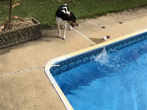 How To Winterize The In Ground Pool Great Escape Farms