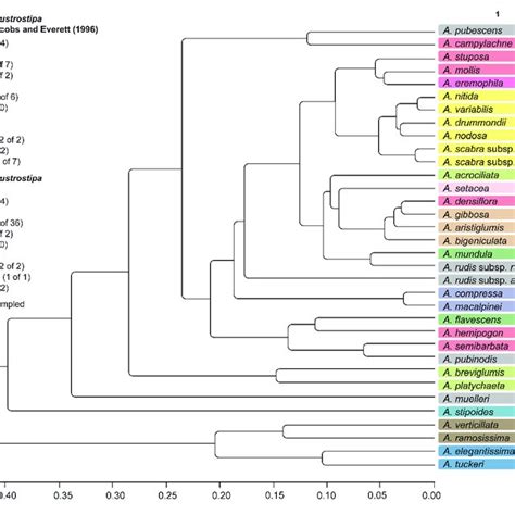 Cluster Analysis Upgma Performed On Eight Macro And Four