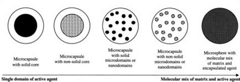 Different Structures Of Microcapsules And Microsphere 1 Download