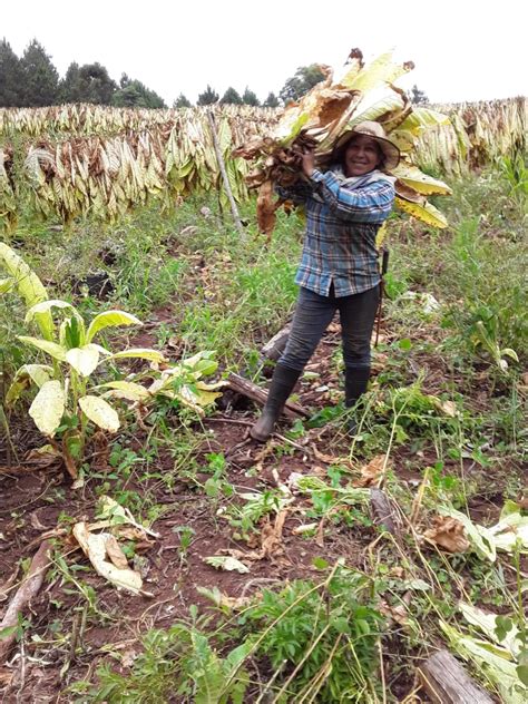 Día De La Mujer Rural Nació Pobre En El Soberbio Y Ayuda Con Su Ong “a