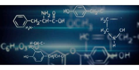How To Find Empirical Formula A Step By Step Guide And Tools