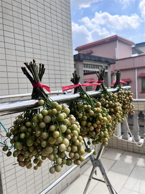 【山黄皮酒（鸡皮果酒）图片】林美美mm下厨房