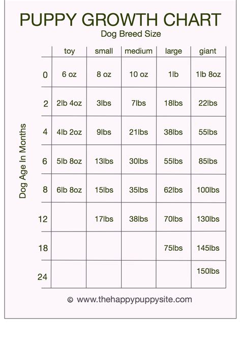 Cockapoo Size And Weight Chart Pets Of Life