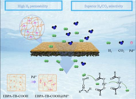 Coordination Crosslinking Engineering Of Alkynyl Based Polyimide