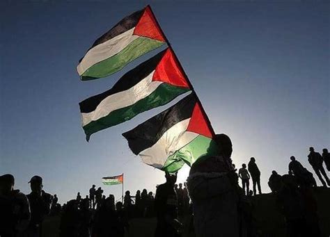 البريكس تدعو لمفاوضات حل أزمة سيادة فلسطين لتدهور وضعها الإنساني