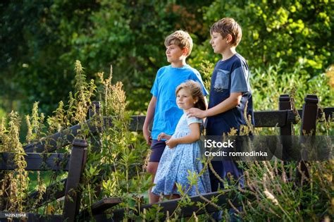 세 형제 자녀의 초상화 두 아이 형제 소년과 꽃 초원에 함께 재미를 작은 귀여운 유아 자매 소녀 행복한 건강한 가족 놀이 걷기