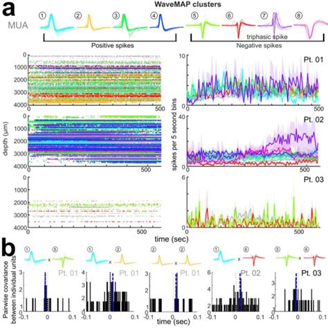 Pdf Large Scale Neural Recordings With Single Cell Resolution In