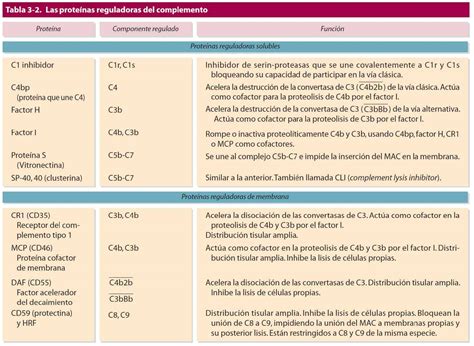 Reguladores Del Sistema De Complemento Ii 🔹paradigmia