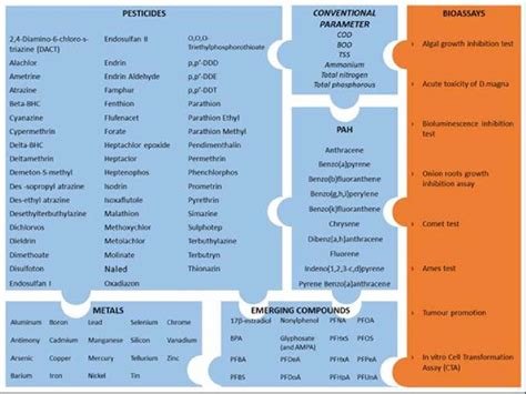 Subsets Of Compounds Analyzed And Bioassays Used In The Life Cycle