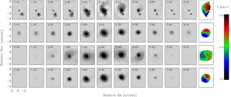Alma Observations Of The T Tauri Binary System As 205 Evidence For Molecular Winds And Or