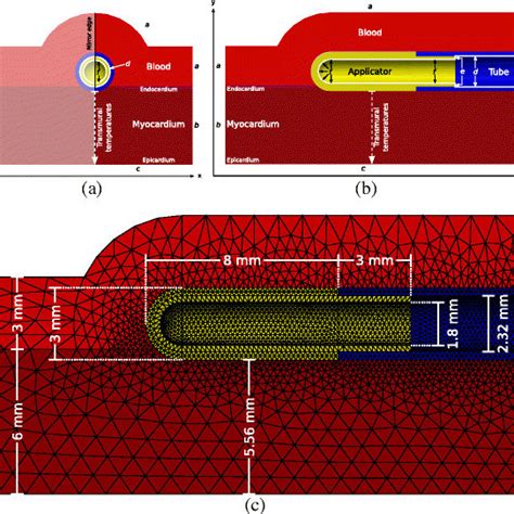 Model Used For The Simulation Of Temperature Fields Segment Of Model Download Scientific