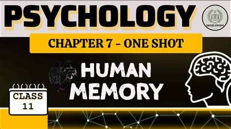 Human Memory | Chapter 7 - Class 11 | One Shot | Psychology | @excelstudy24 - YouTube