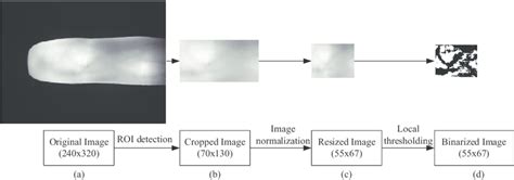 Case A Preprocessing That Includes Segmentation Download Scientific Diagram