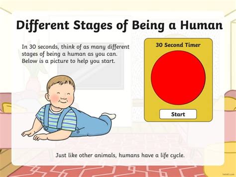 Human Life Cycle Powerpoint Ppt Free Download PPT