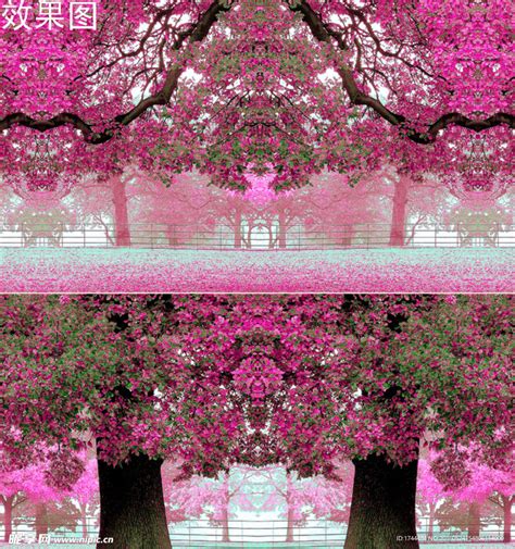 樱花树动态特效flash视频 动画素材 flash动画 多媒体图库 昵图网