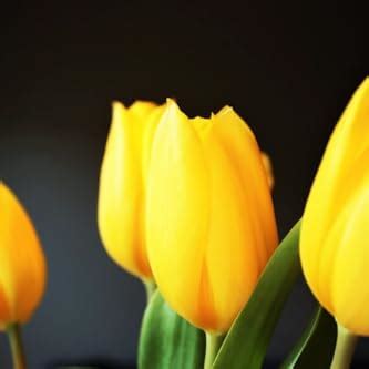 Amazon Com HATMINI 5V 3Pin ARGB LED Hub10 Way 5V 3 Pin RGB Splitter Controller With Acrylic