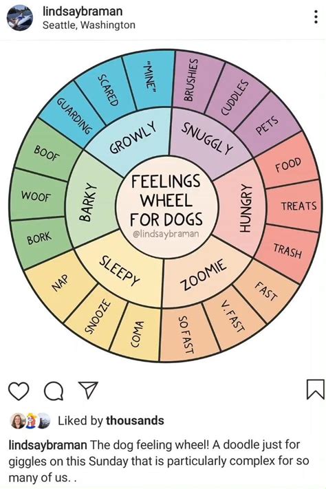 Wheel Of Emotions Defend Innocence Feelings Wheel Forward Motion The