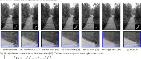 Figure 10 From Deep Algorithm Unrolling For Blind Image Deblurring
