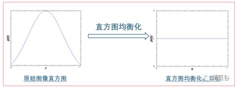 Matlab将二值图像与原图重叠影像时间 医学图像预处理瀚岳使的博客 Csdn博客 Matlab将二值图像与原图重叠影像时间 医学图像预处理瀚岳使的博客 Csdn博客