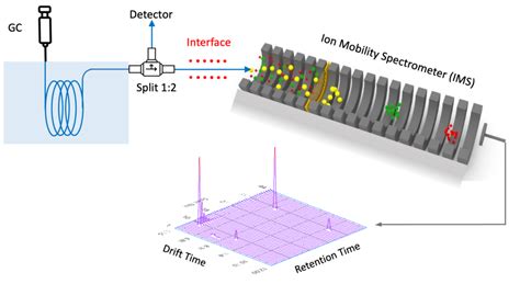 Gc Ims Interface Detect Ion Tech Inc