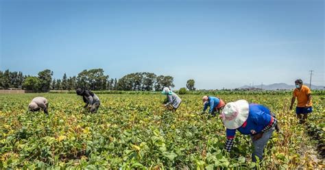 Economía De Colombia Creció 2 En El Tercer Trimestre De 2024