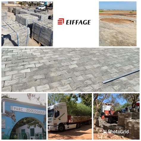 Dieynaba Fofana Posted On Linkedin