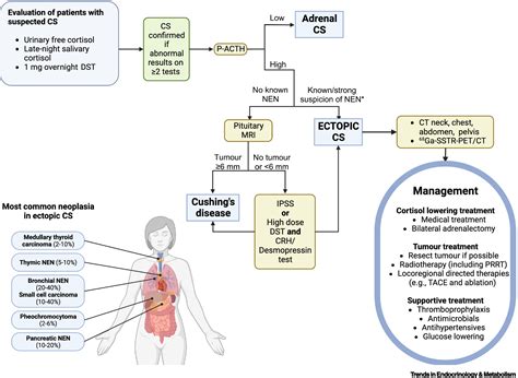Cushing S Disease Dr Arun Lnaik Cushings Disease