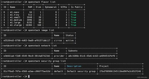 OpenStack云计算平台 启动一个实例 openstack创建实例 CSDN博客