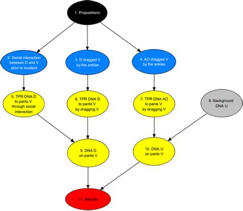 bayesian network for a case involving a dragged victim nodes are
