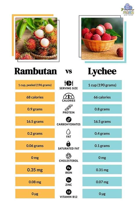 Rambutan Vs Lychee Differences Which Is Healthier