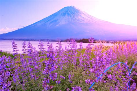 How To Say The Four Seasons In Japanese Team Japanese