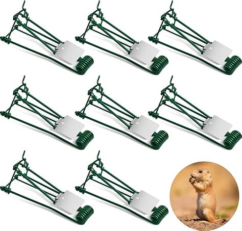 Qualirey 8 Pcs Outdoor Gopher Trap Easy Set Mole Trap Weather Resistant Gopher Qualirey 8 Pcs Outdoor Gopher Trap Easy Set Mole Trap Weather Resistant Gopher