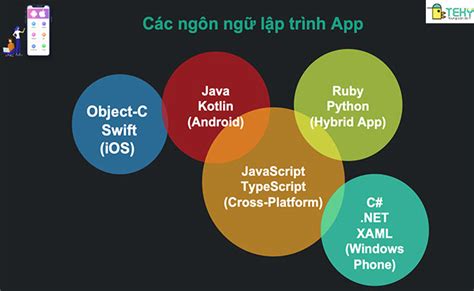 Lập Trình ứng Dụng Di động Xu Hướng Nghề Nghiệp Tương Lai